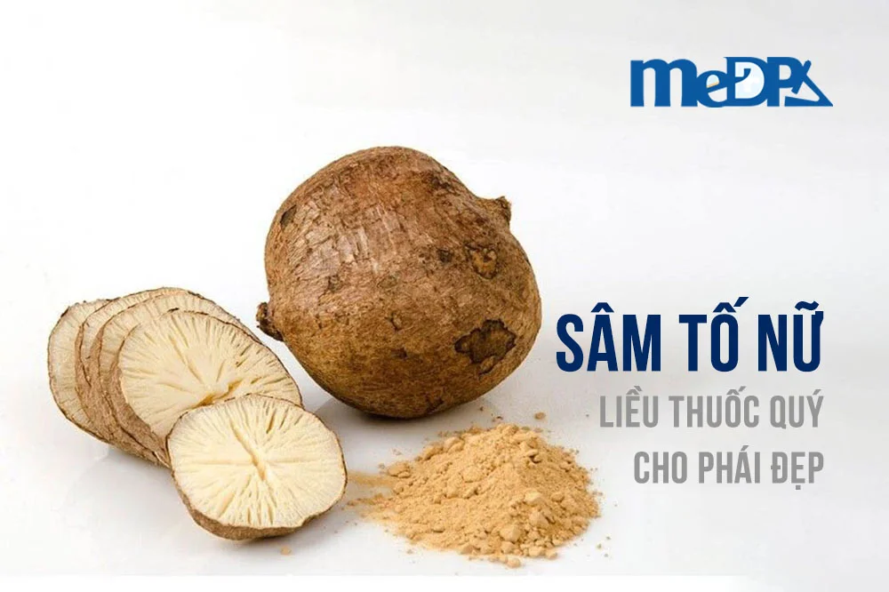 Sâm tố nữ là gì? Có tác dụng gì đến sức khỏe của phụ nữ
